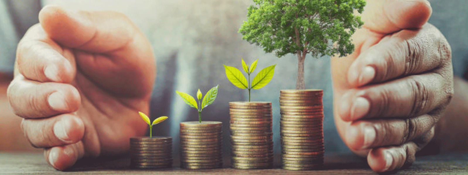 Single Premium Investment - Ambit Financial