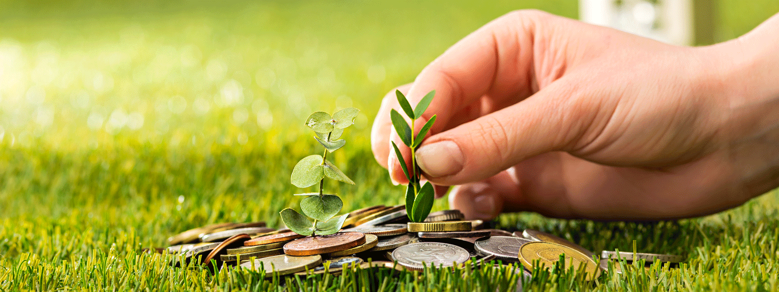 Convertible Life Insurance - Ambit Financial